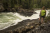 Fall Road Trip: Vibrant Colours, Wildlife & History - Gold Rush Trail