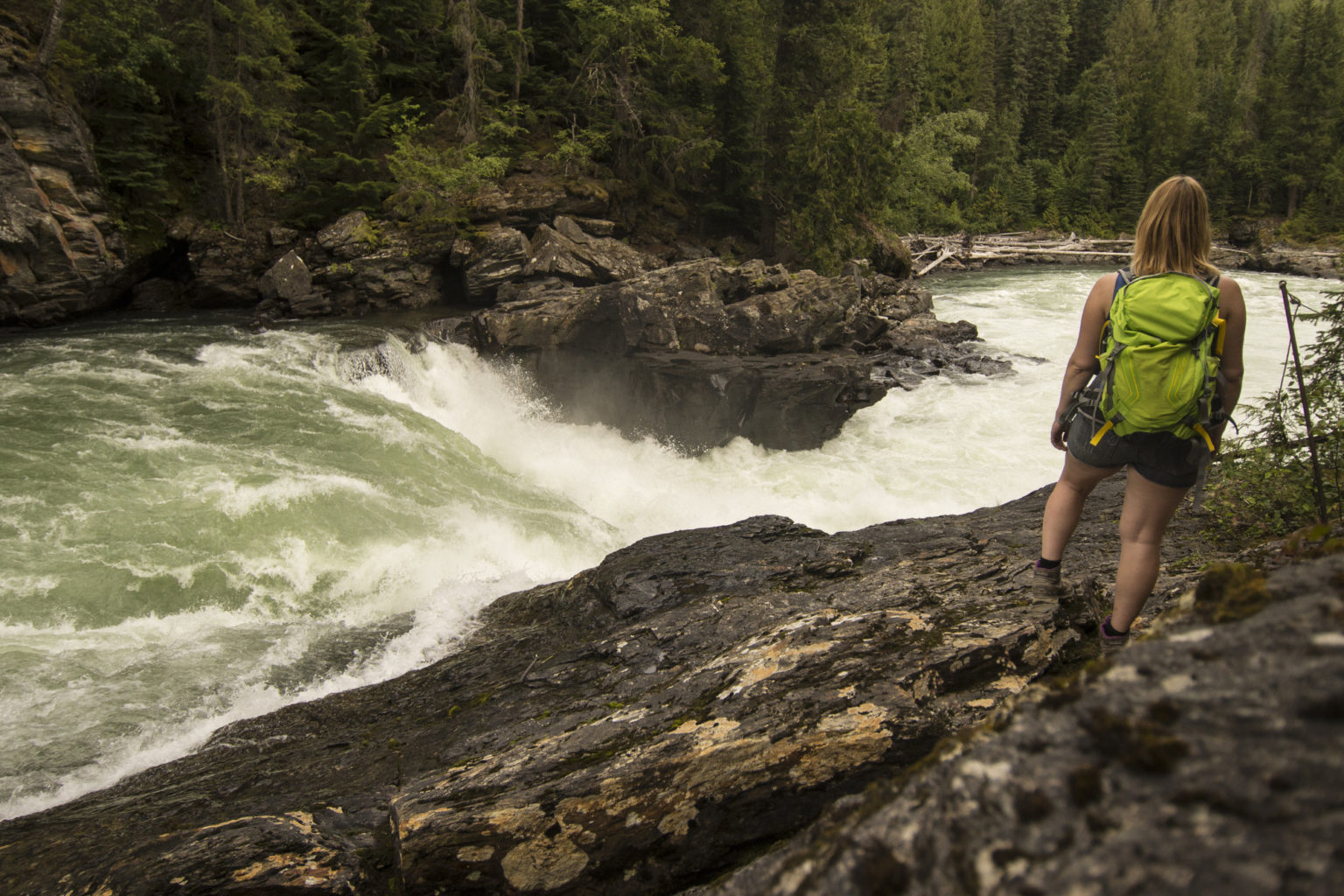 Fall Road Trip: Vibrant Colours, Wildlife & History - Gold Rush Trail