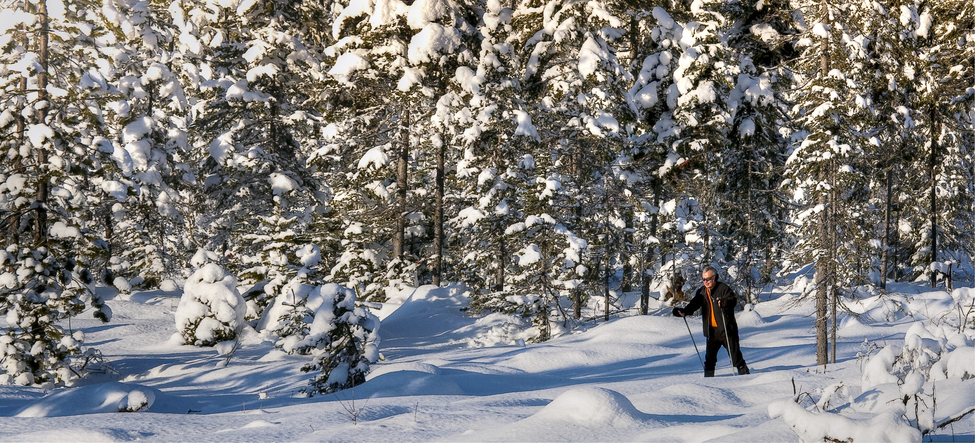 Winter Trails - Celebrate Winter on BC's Gold Rush Trail
