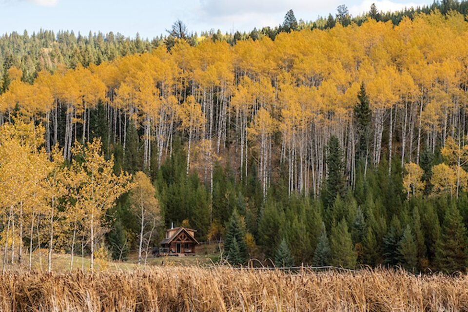 The top 10 ways to experience fall in British Columbia - Gold Rush Trail